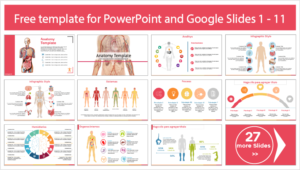 Human Anatomy Template - PowerPoint Templates and Google Slides
