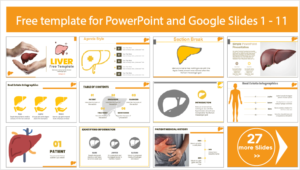 Human Liver Template - PowerPoint Templates and Google Slides
