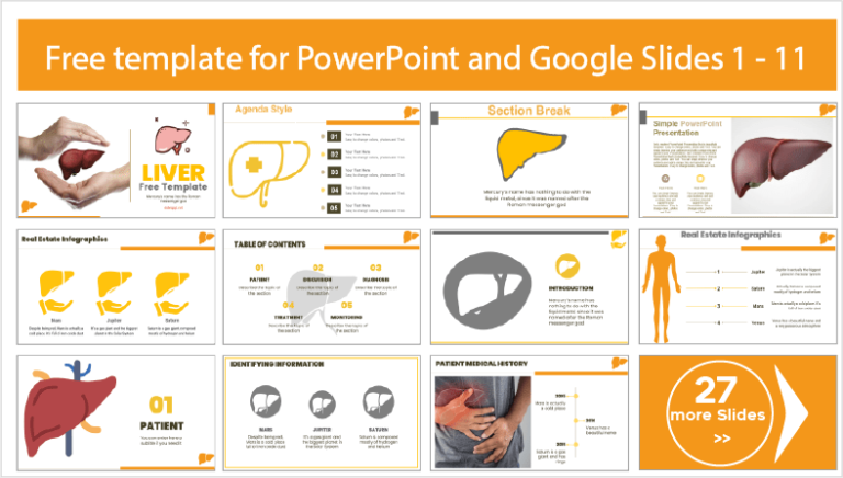 Human Liver Template - PowerPoint Templates and Google Slides