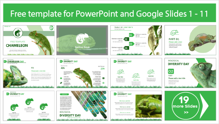 Camaleon Template - PowerPoint Templates and Google Slides