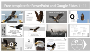 Eagle Template - PowerPoint Templates and Google Slides