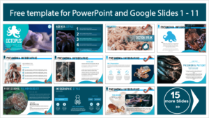 Octopus Template - PowerPoint Templates and Google Slides
