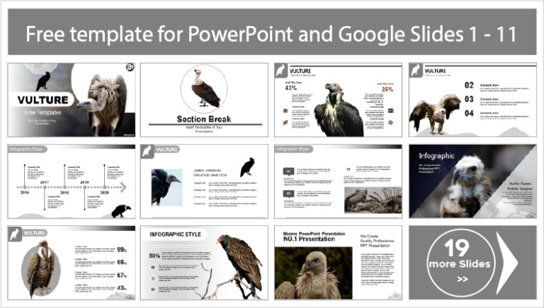 Vulture Template - PowerPoint Templates and Google Slides